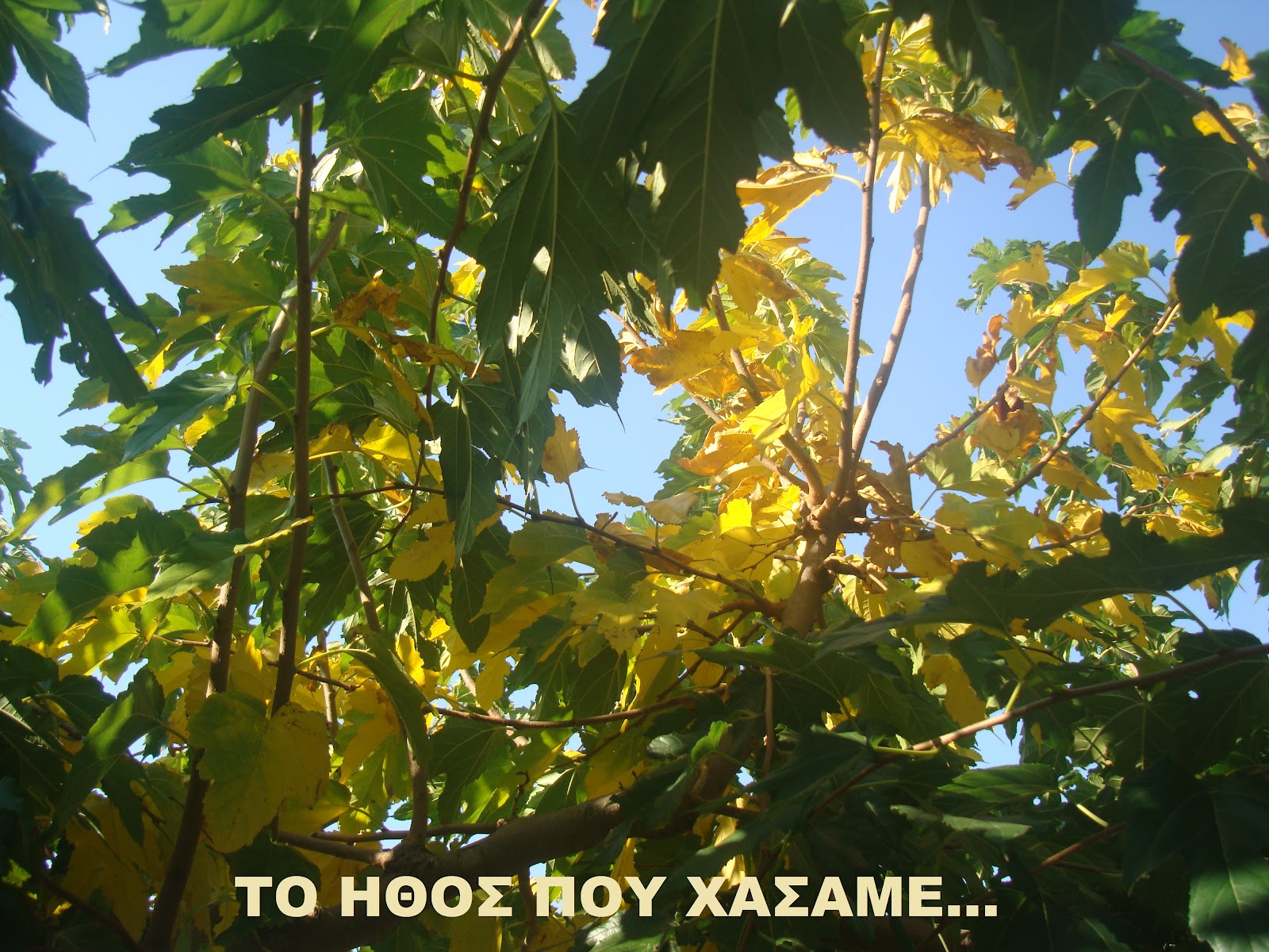 TΟ ΗΘΟΣ ΠΟΥ ΧΑΣΑΜΕ...: Καλημέρα και σήμερα...