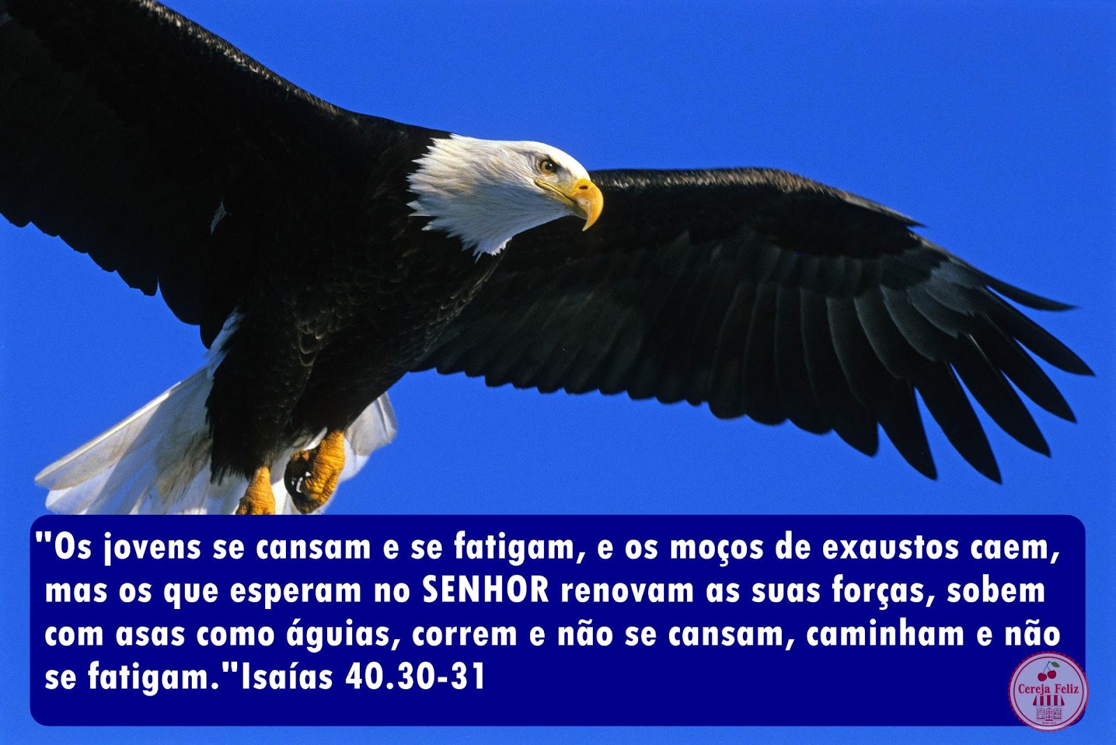 Isa as 40 30 31 isa-as-40-30-31