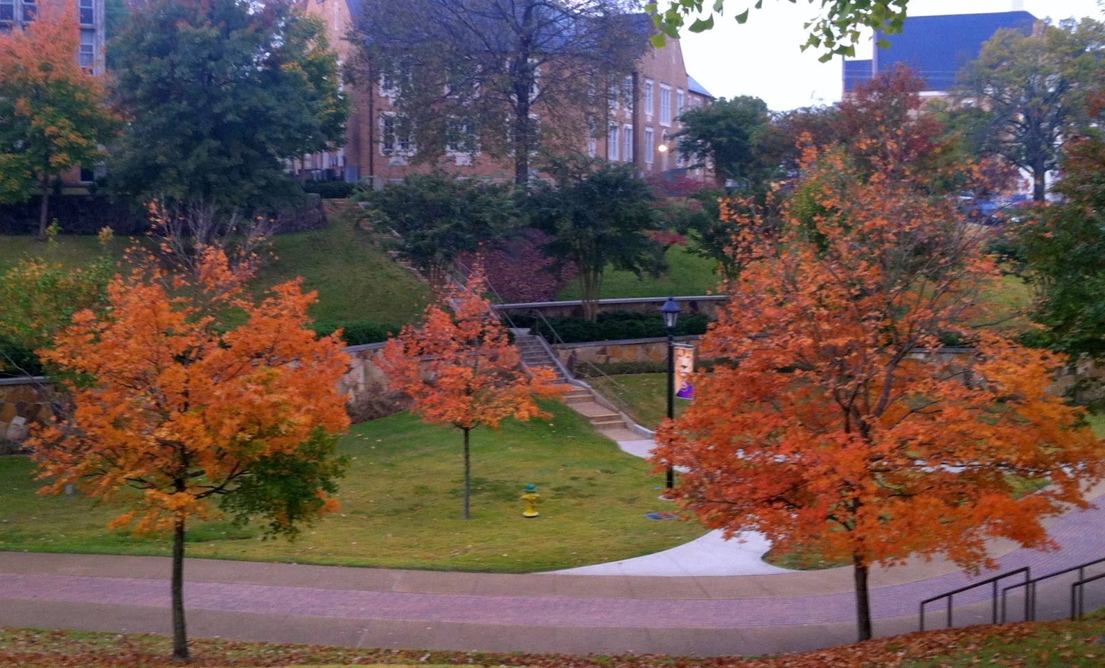 University of North Alabama fall color