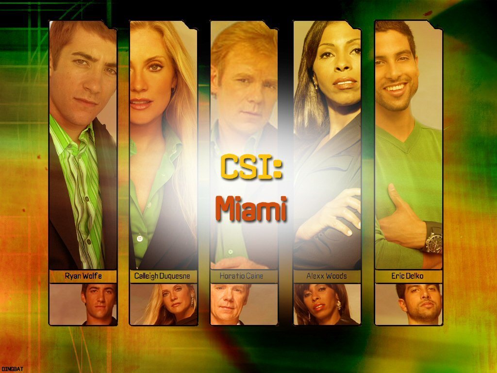 *SERIES*: CSI MIAMI