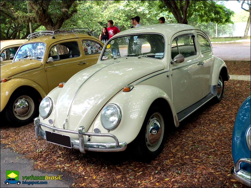 VW Fusca Brasil: Cores - Branco Pérola