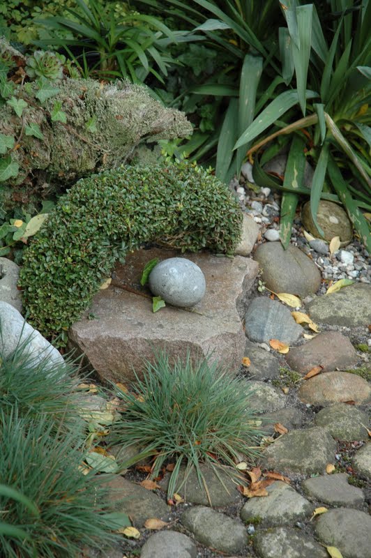 HAVETID: Sten og planter.