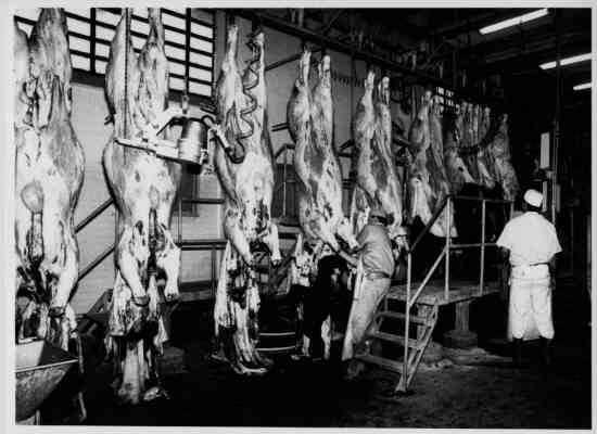 FORMATOS COMERCIALES: MATADEROS