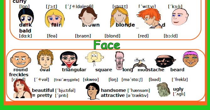 Learn IT! English: Adjectives for Appearance