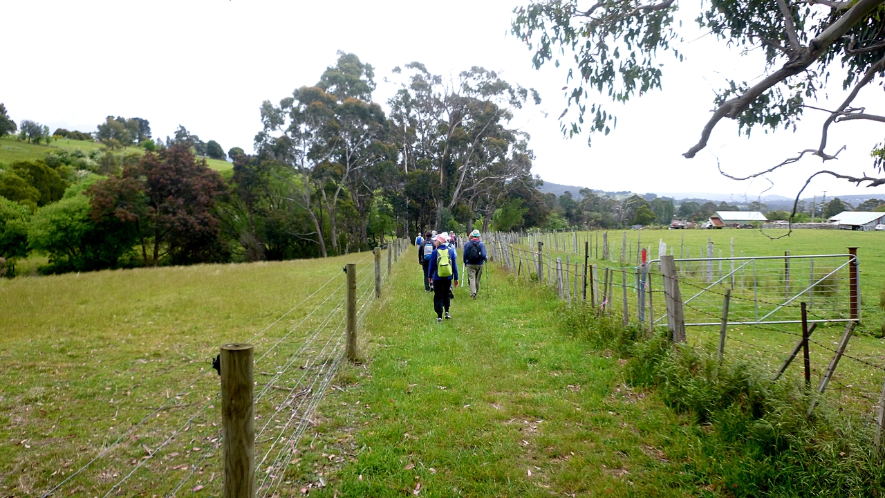 Ramblings: Nierinna Creek Tramway Hill Margate Rivulet 2015