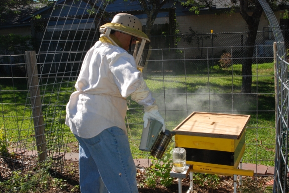 Lehmann Beekeeping and Apiary