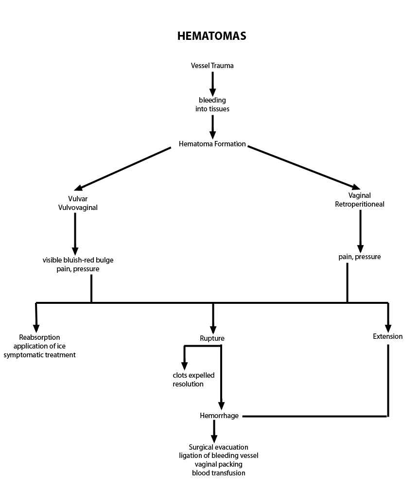 Pathophysiology: HEMATOMAS - Pathophysiology