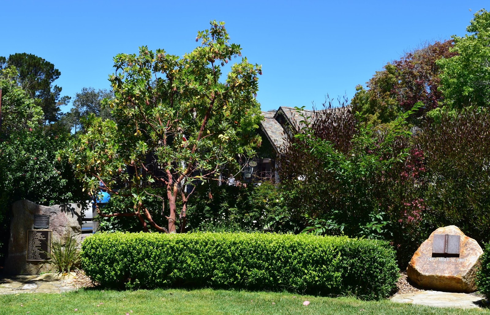Friends of Carmel Forest Tree Tour with Dr. Matt Ritter 2016 - Carmel ...