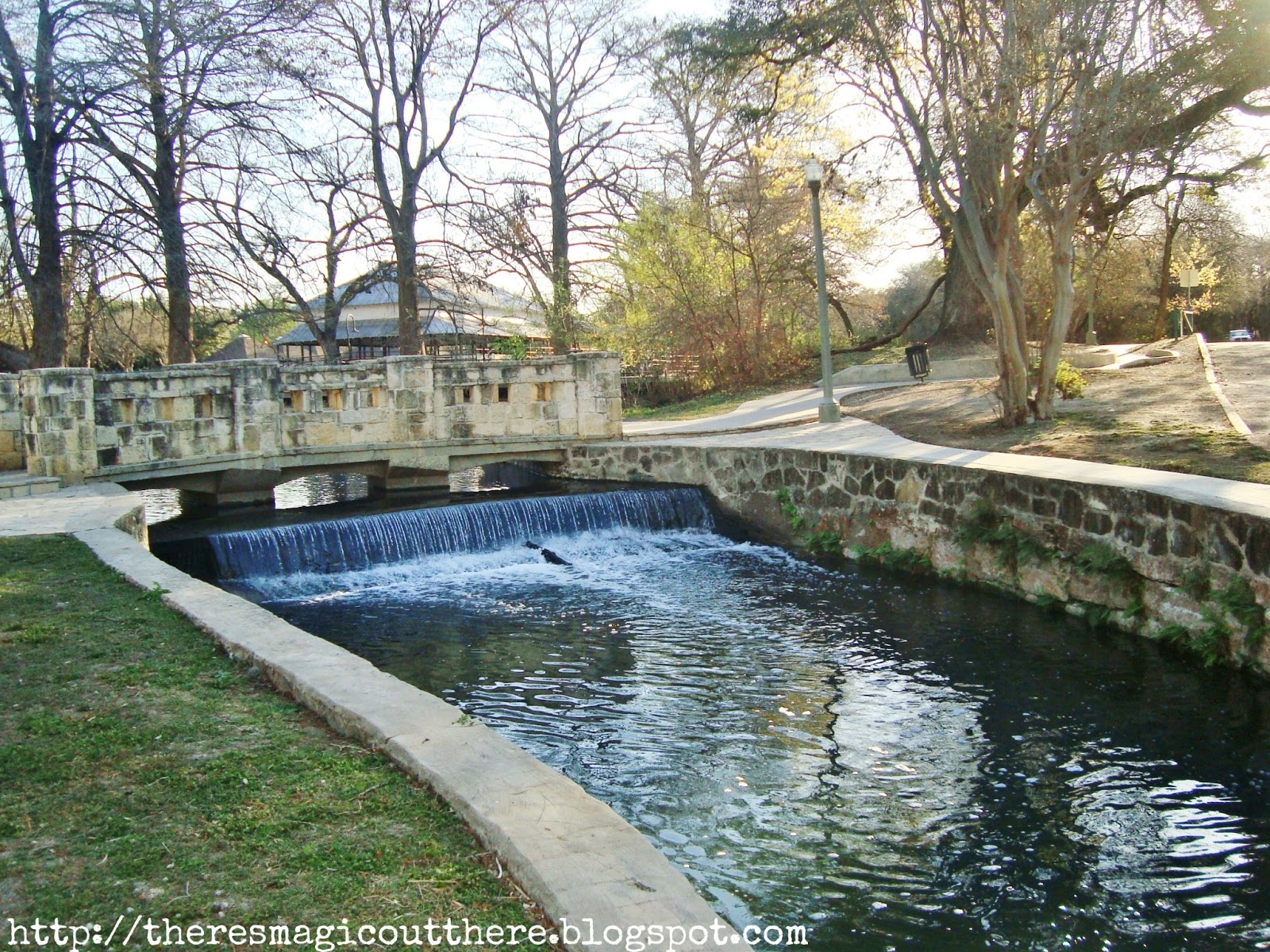 There's Magic Out There: Taking a walk at Brackenridge Park