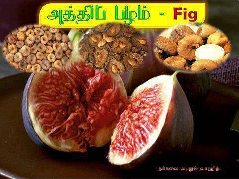 Tamil Kavithaikal: அத்திப்பழம் - Athi Pazham