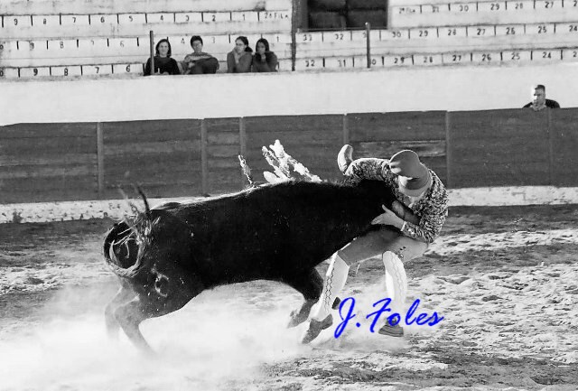 tauromaquia alentejana: DAVID BARRADAS