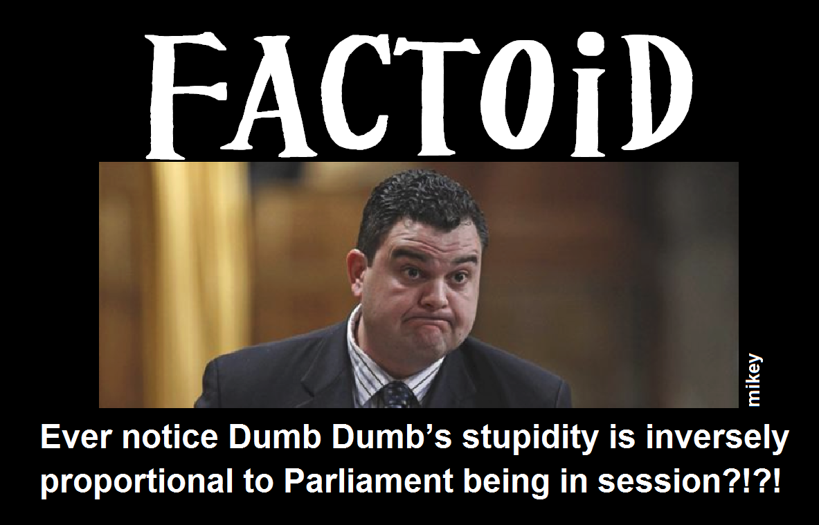 Aunty Harper Graphics By Mikey Factoid Dumb Dumbs Stupidity