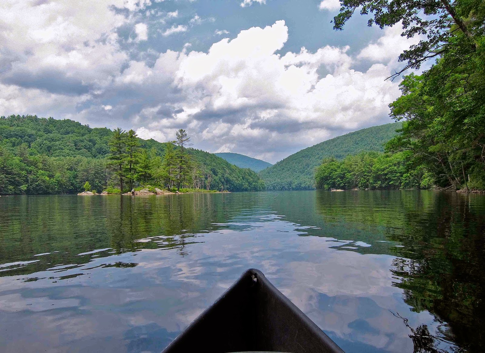 Saratoga woods and waterways: Hot Day, Cool River, a Floral Surprise