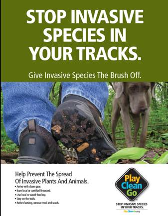 Illinois Invasive Species Awareness Month: The Hunt for Invasive ...