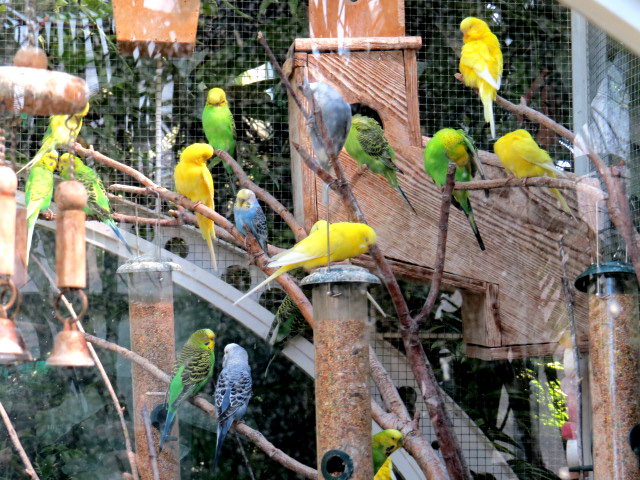 BirdsEyeViews: Paris Finale Post: Luxembourg Palace, Roland Garros and ...