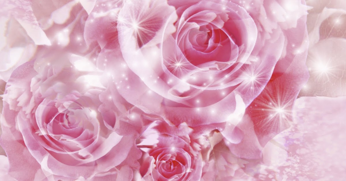 Pink Rose Flowers Acer Wallpaper ~ Top a cer wallpaper