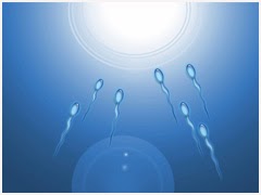 Bagaimana Cara Mengobati Mani Encer? - Fahmy Ramdani