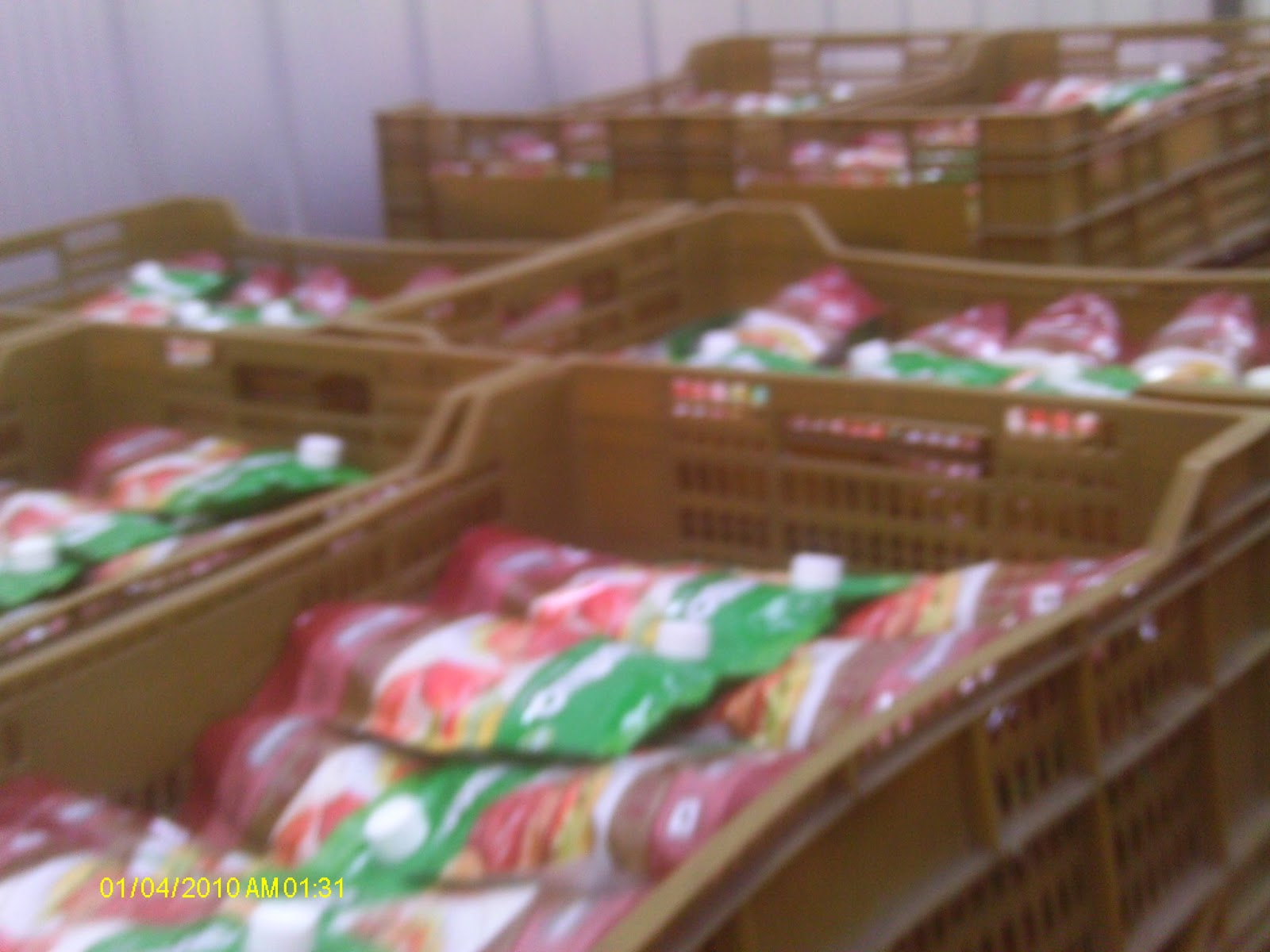 Alex Josowitz's Plus3 Chile Experience: May 14: Tools, Tomatoes, and ...