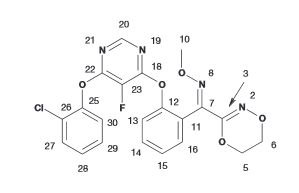 Organic Synthesis International: Fluoxastrobin