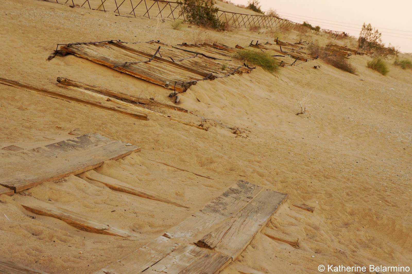 Off the Beaten Path: The Plank Road of Southern California | Travel the ...