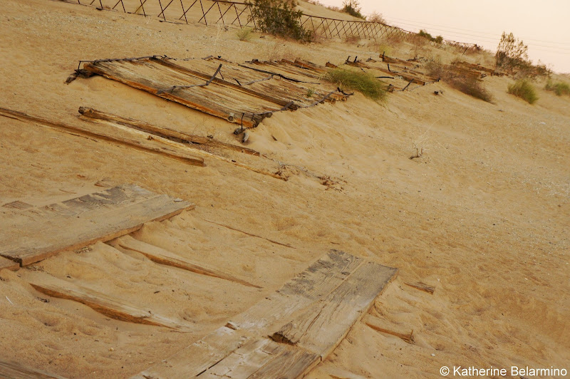 Off the Beaten Path: The Plank Road of Southern California | Travel the ...