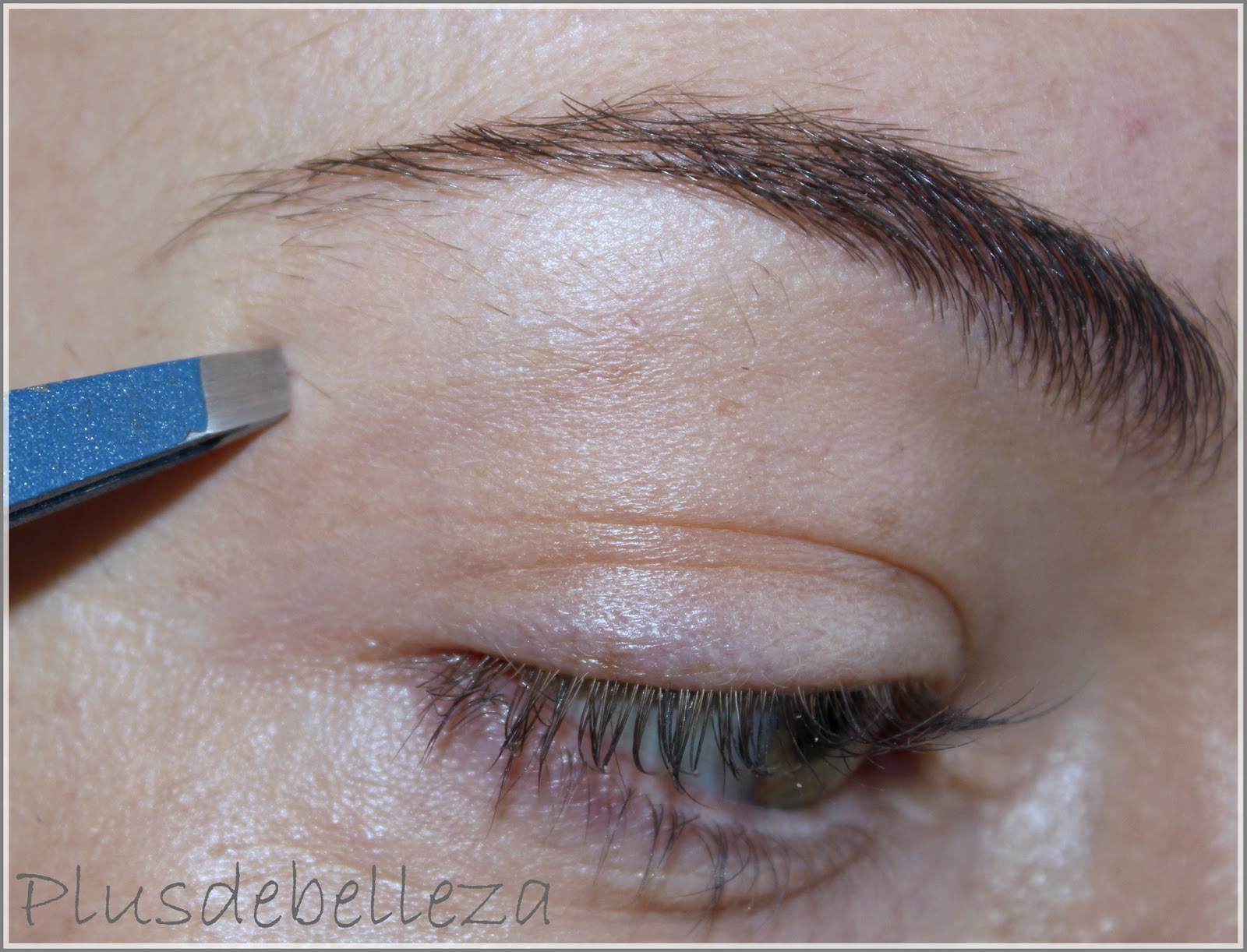 Plus de Belleza: Cómo Depilar tus Cejas Correctamente