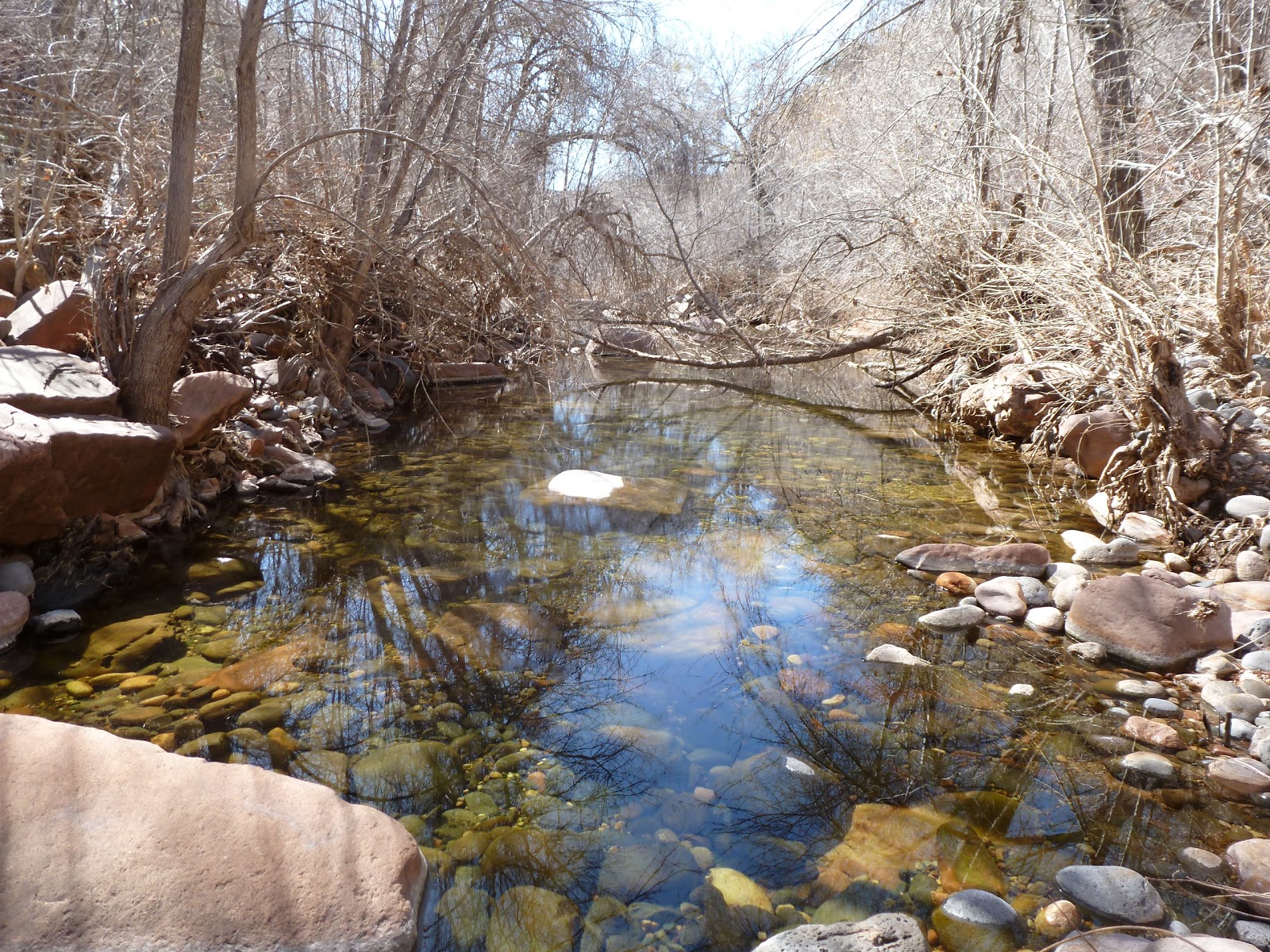 The Continuing Adventures of Eric, Noelle and Sierra: Coconino National ...