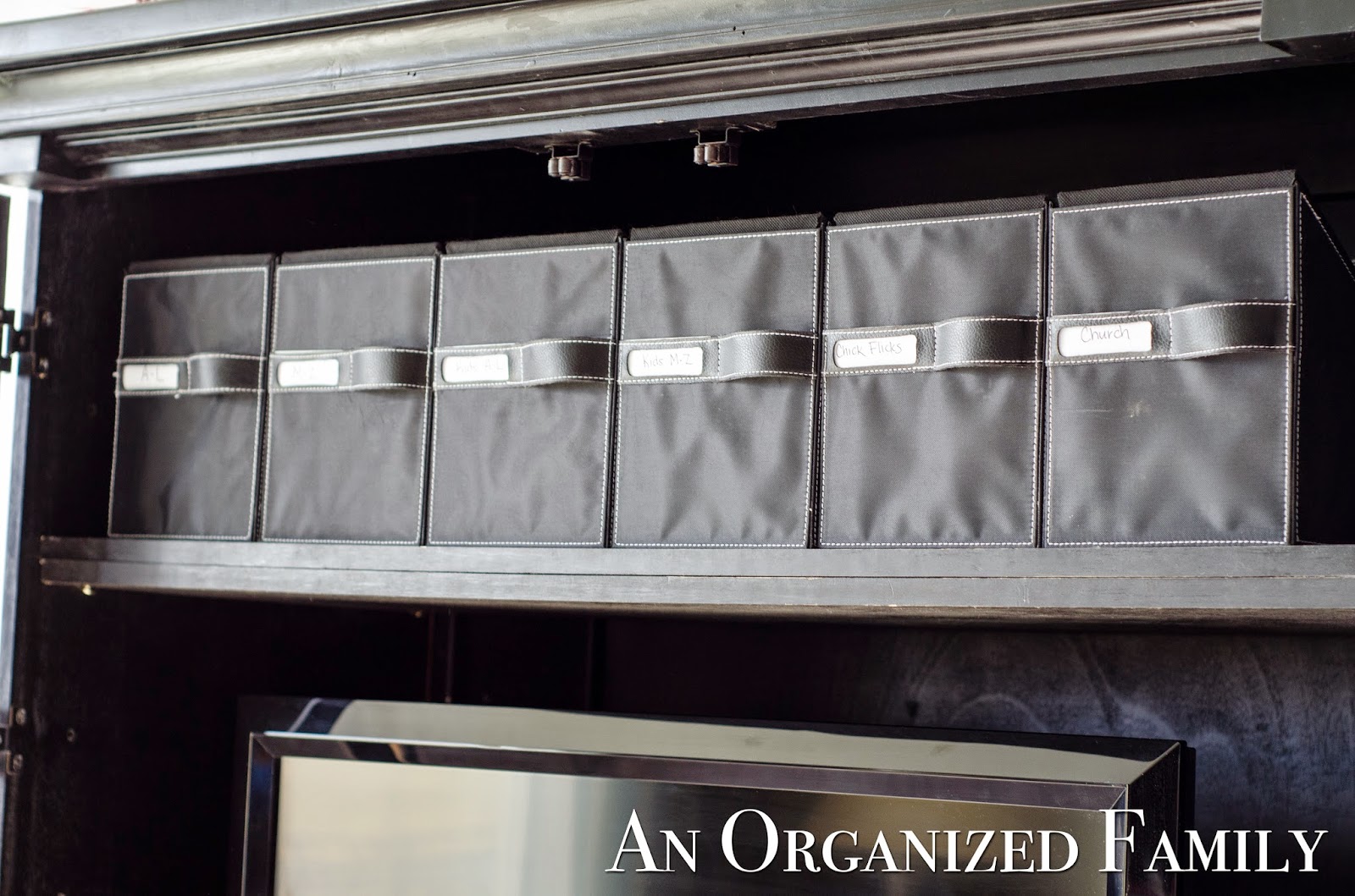 An Organized Family: Organizing Your DVD Collection