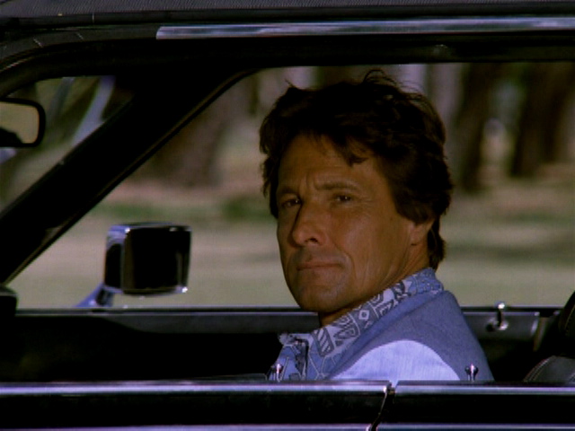 cult film freak: WILLIAM SMITH & SHARON FARRELL vs DARRELL FETTY on ...