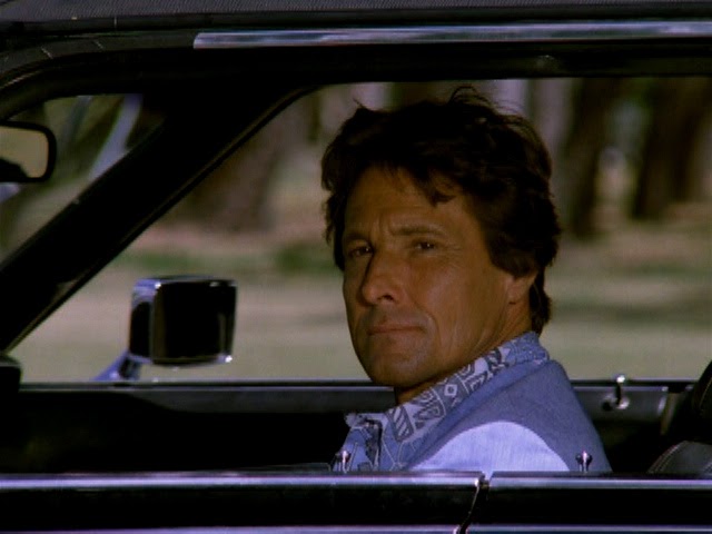 cult film freak: WILLIAM SMITH & SHARON FARRELL vs DARRELL FETTY on ...