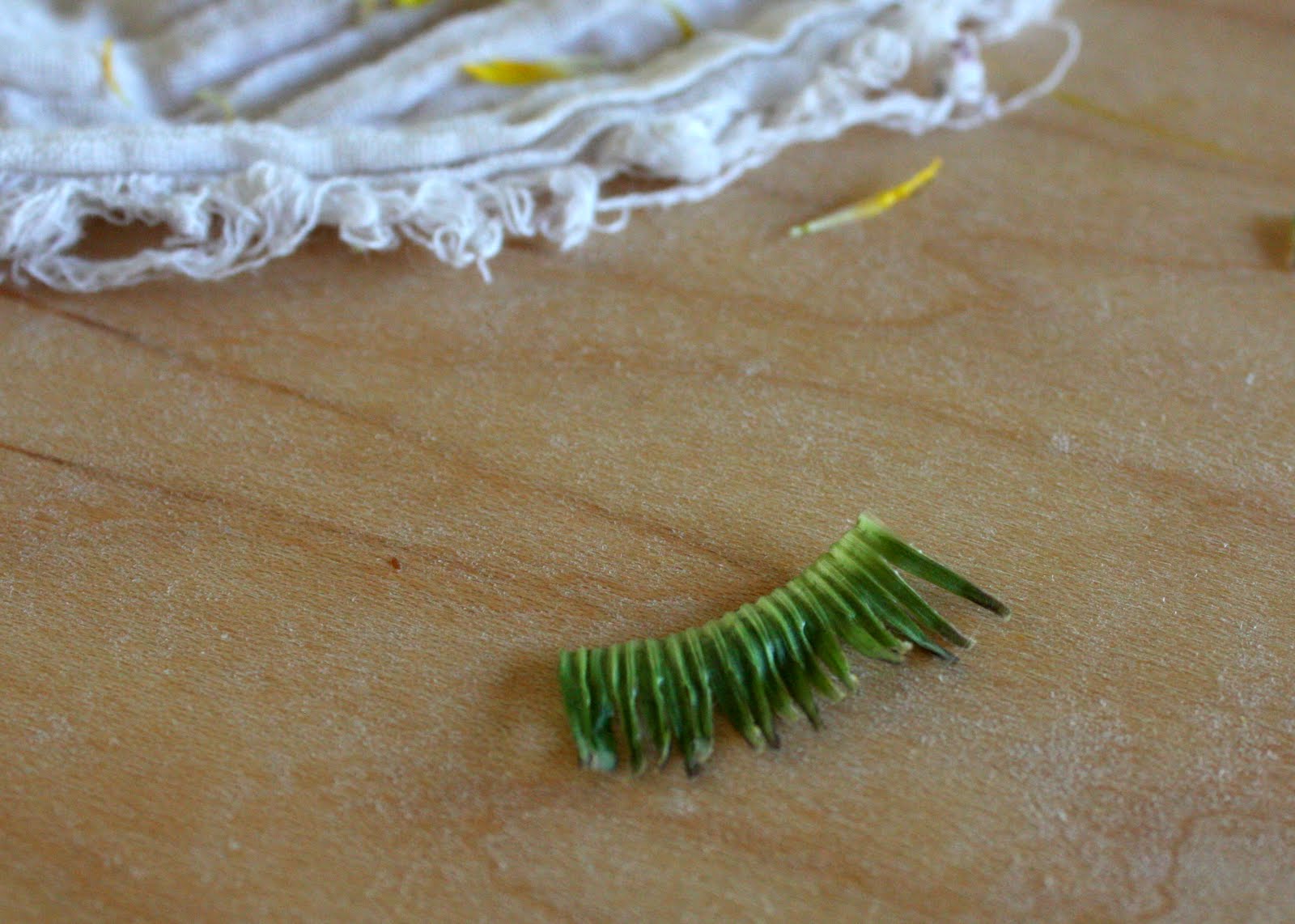 lil fish studios: Delicious Dandelions