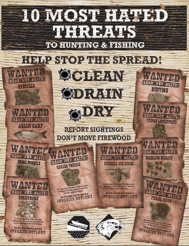 Illinois Invasive Species Awareness Month: The Hunt for Invasive ...