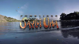 HACIA LA RECONSTITUCIÓN DE LA COMPLEMENTARIEDAD CHACHA – WARMI ~ Boris ...