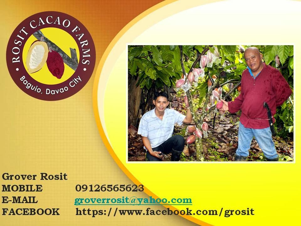 Pinoy Chocophile: SOAP Holds Free Seminar on Cacao Production