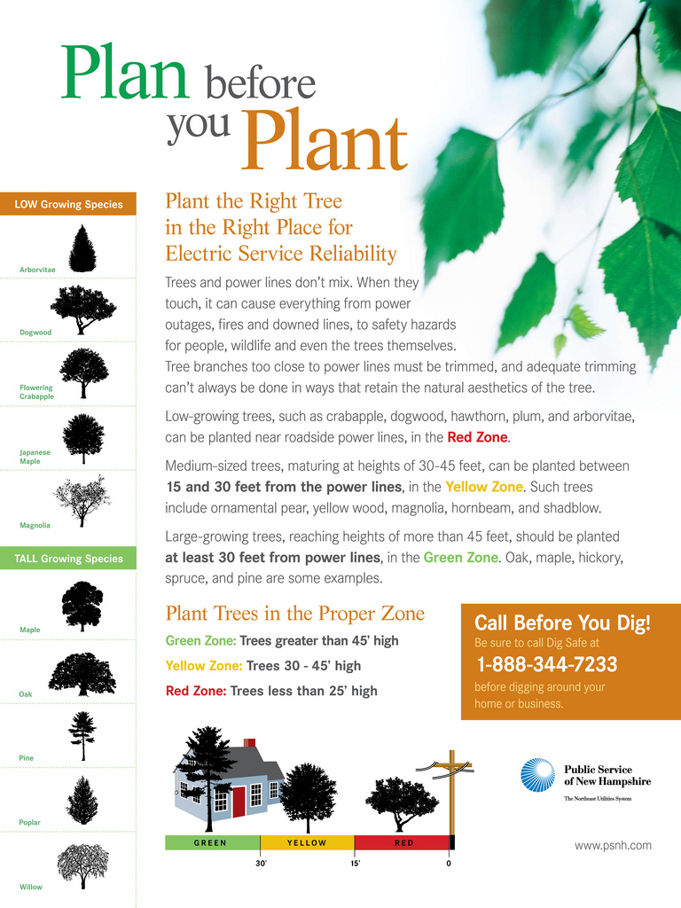 Earth and Space News: Tree Electrical Safety Knowledge, Precautions ...