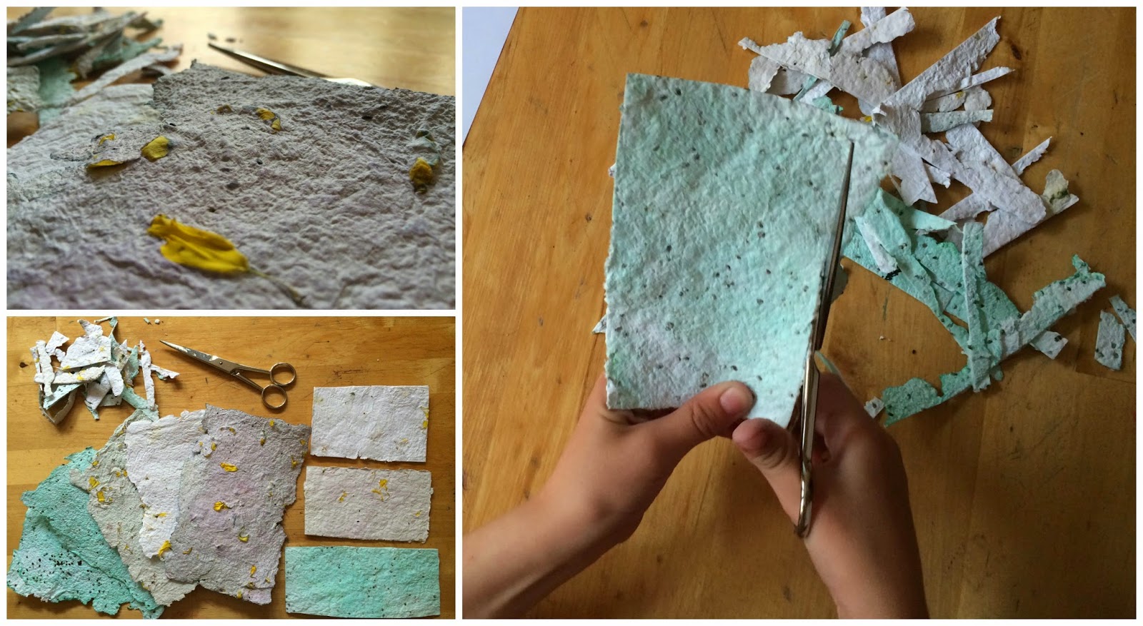 encenent la imaginació: de juny 2014