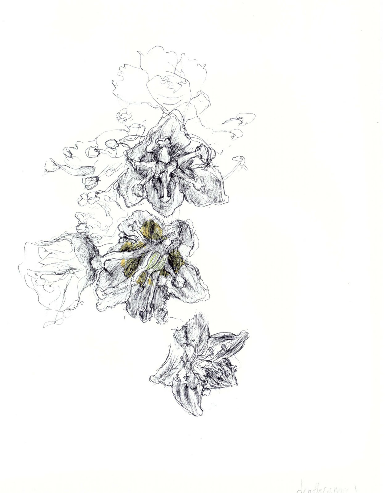 bibibelot-poisons-of-the-day