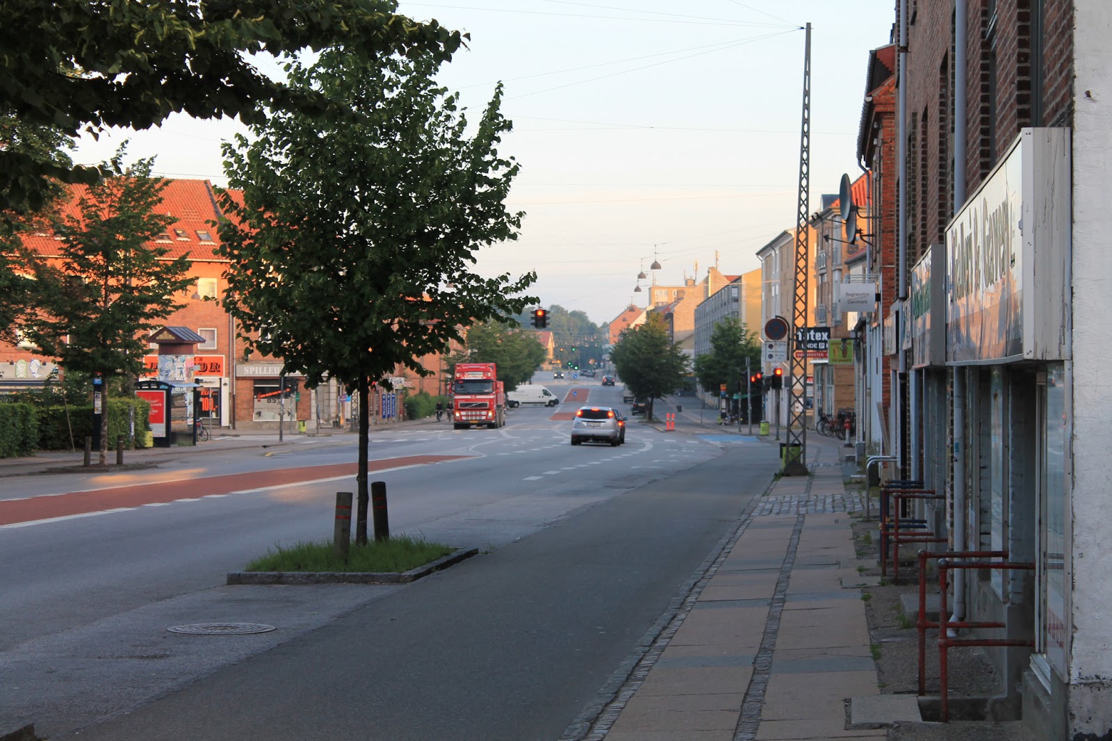 Vandringsløse Tidende: Utterslev Mose, tidlig morgen