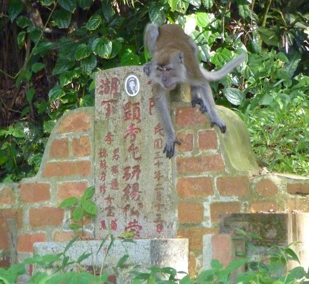 Crystal and Bryan in Singapore: Bukit Brown Chinese Cemetery