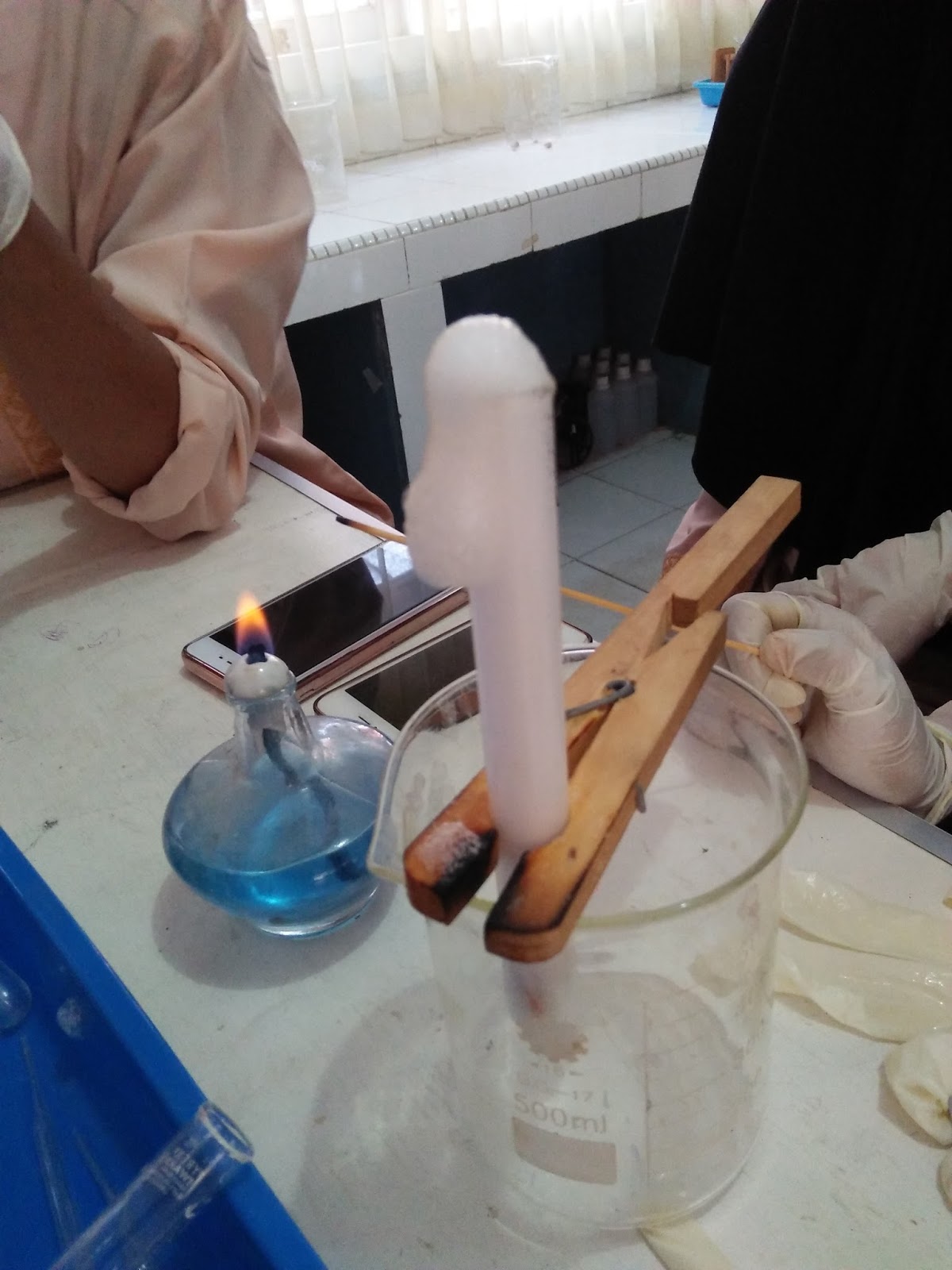 Easy To Learn BIOLOGY: LAPORAN ENZIM KATALASE