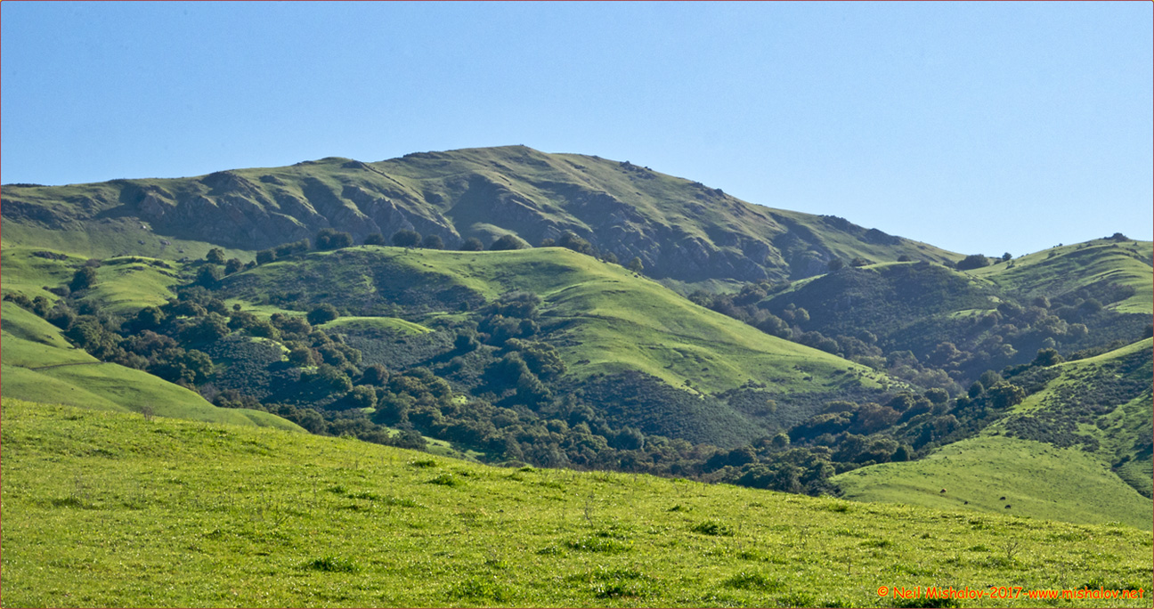 San Francisco Bay Area Photo Blog: A ramble from the Warm Springs BART ...