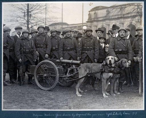 Terrierman's Daily Dose: Dogs of World War I