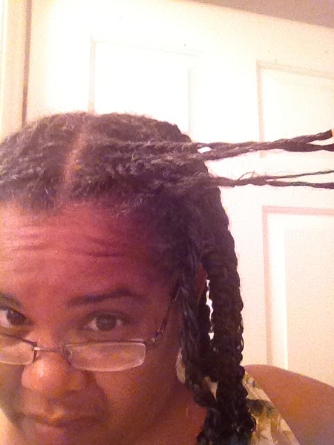 My Natural Hairstyles: How to do - Micro 2-strand twists