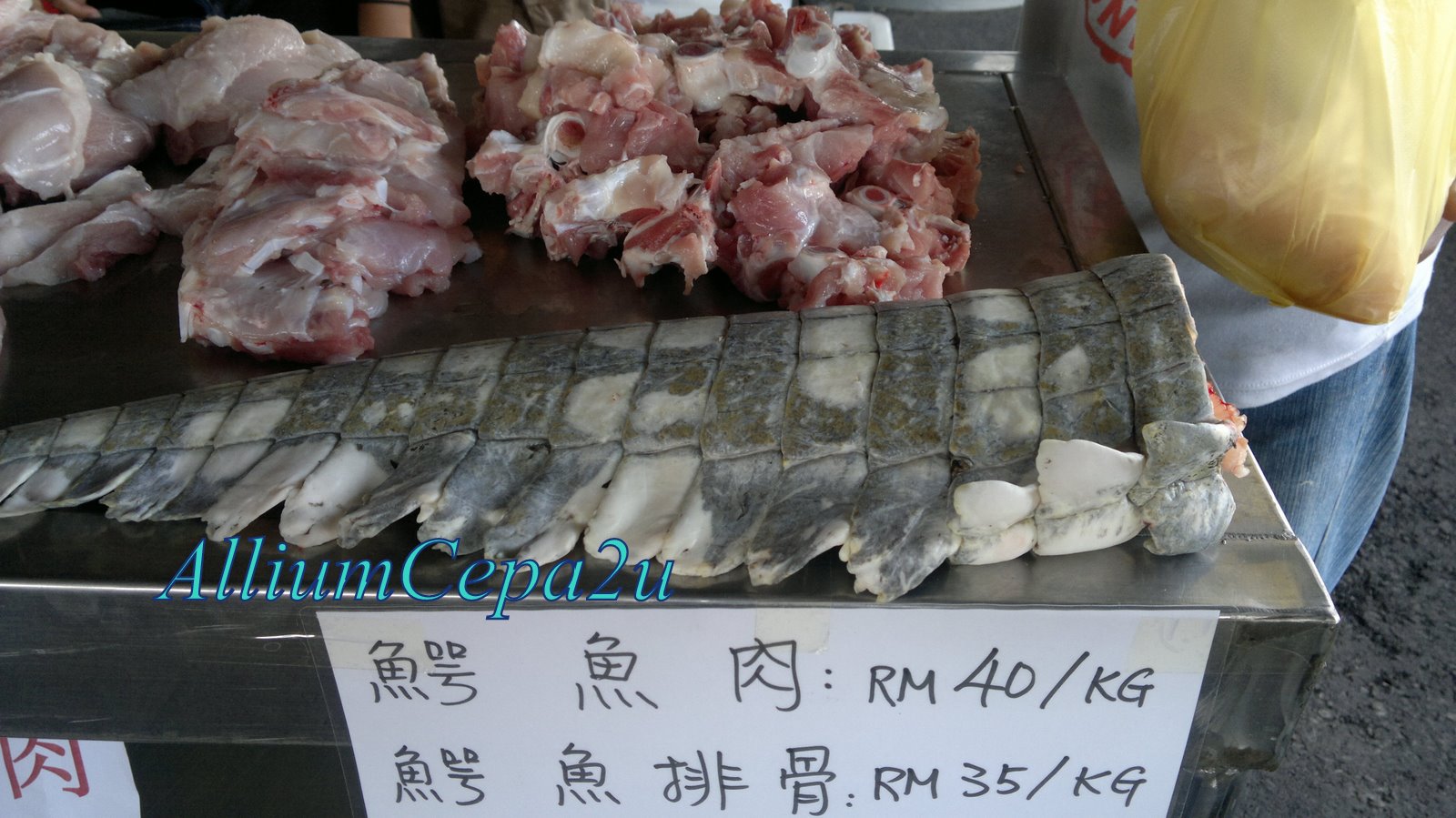 Nutritious crocodile meat