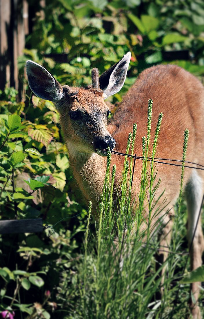 For the Love of Dirt: THE BENCH