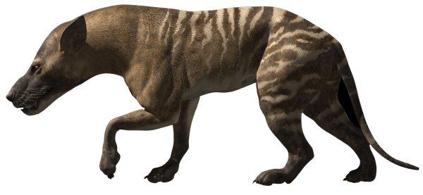 Escenarios prehistóricos: Hyaenodon