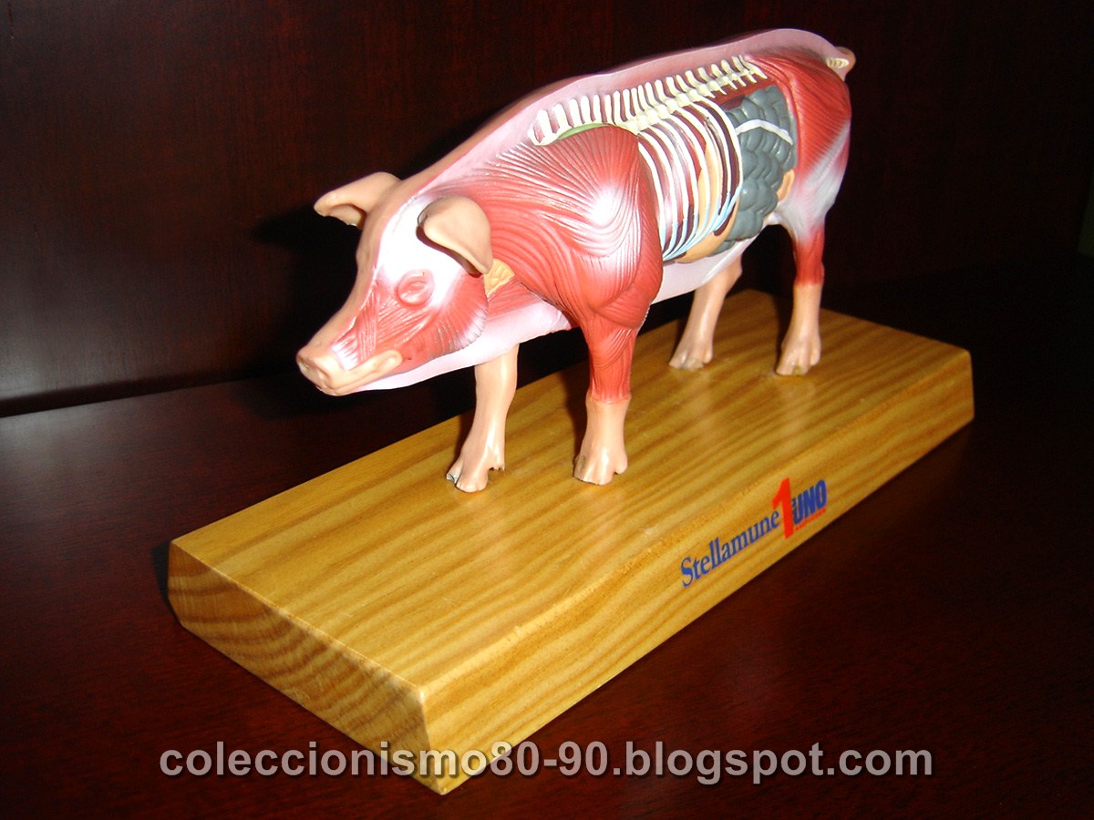 Coleccionismo 80-90: STELLAMUNE UNO: FIGURA PROMOCIONAL