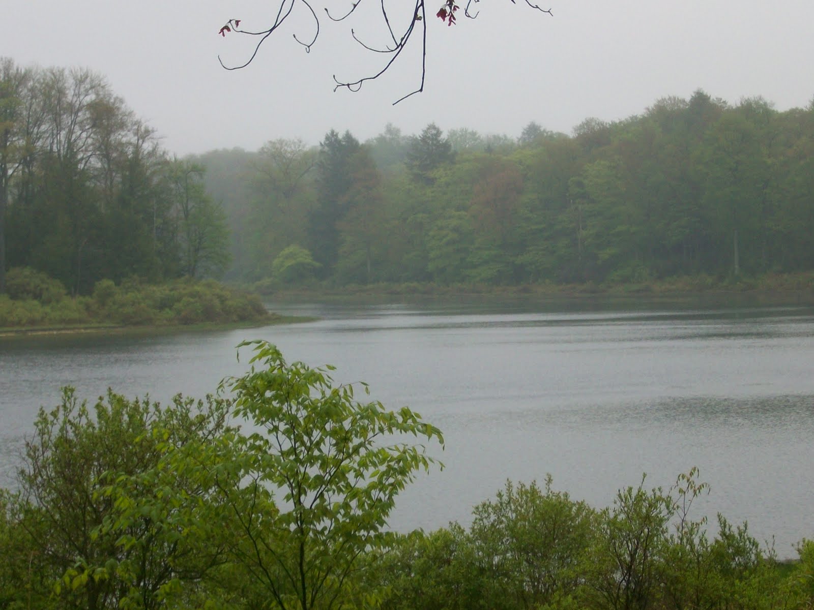 amy & the pen: A Surprise in the Mist Writing Prompt