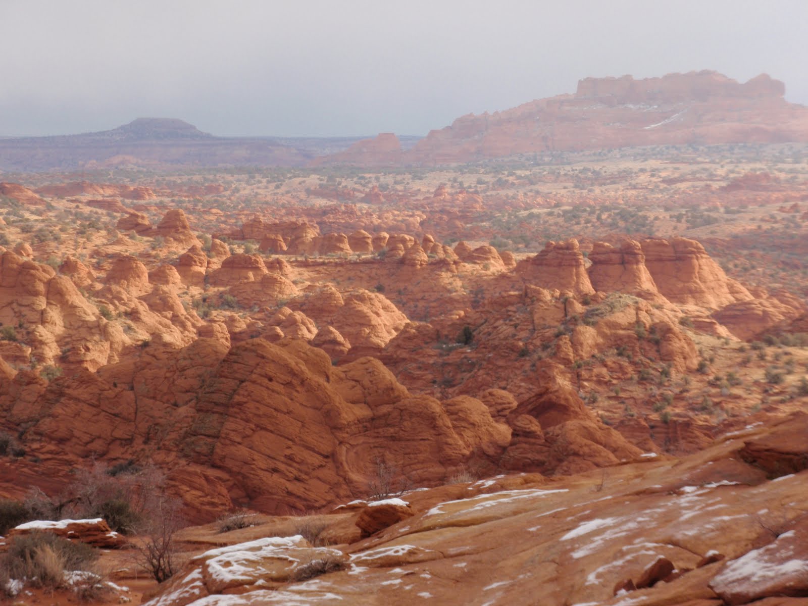 The Wave in Arizona ~ Amazing Sandstone Formations – Kristy McCaffrey