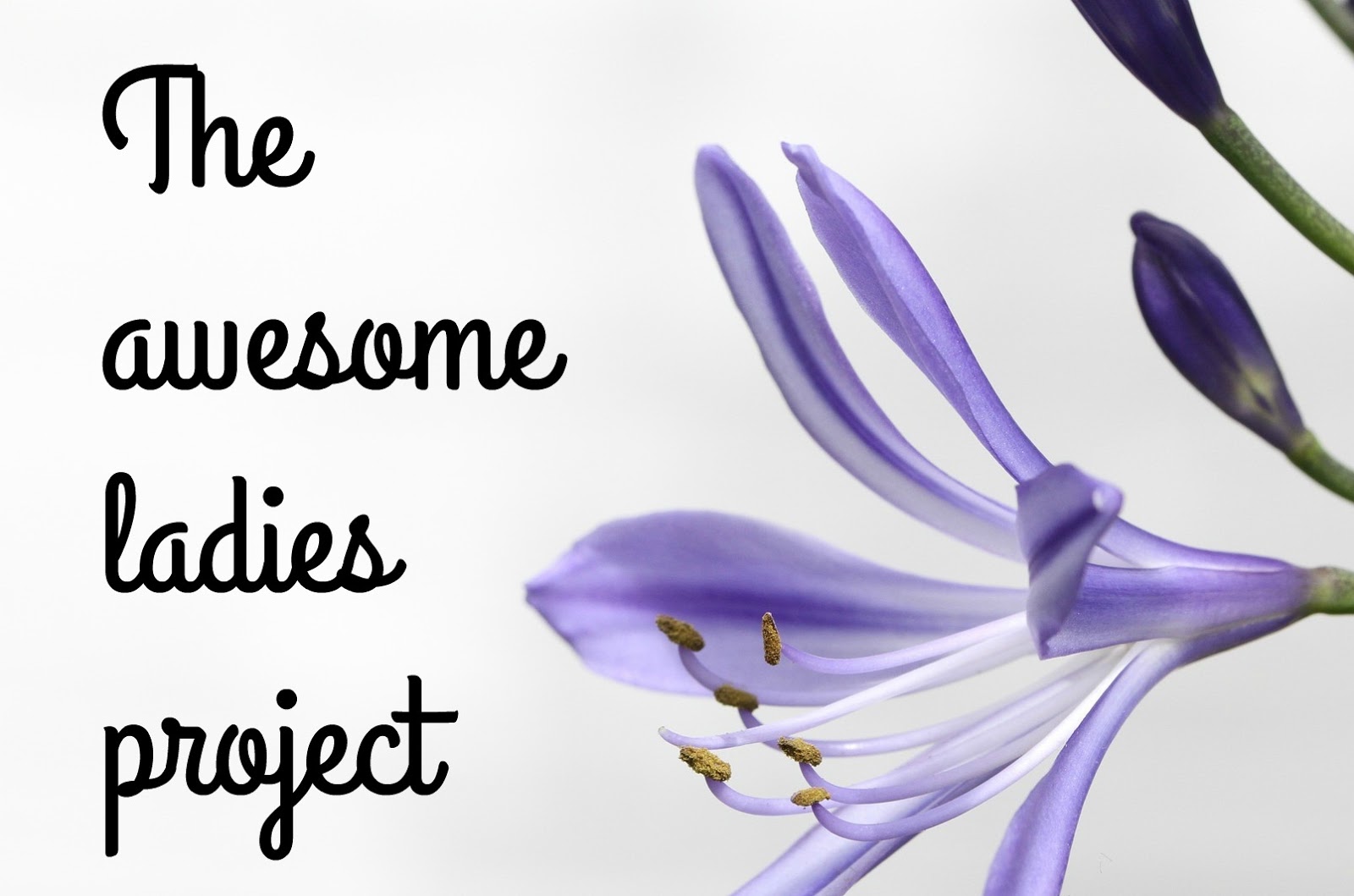 Life, the universe and cats: The Awesome Ladies project 1 - Sahakdukht ...